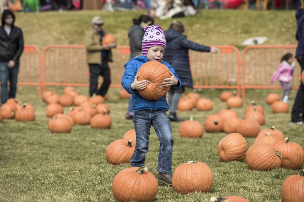 Here’s why wildlife officials say not to leave out your pumpkins ...